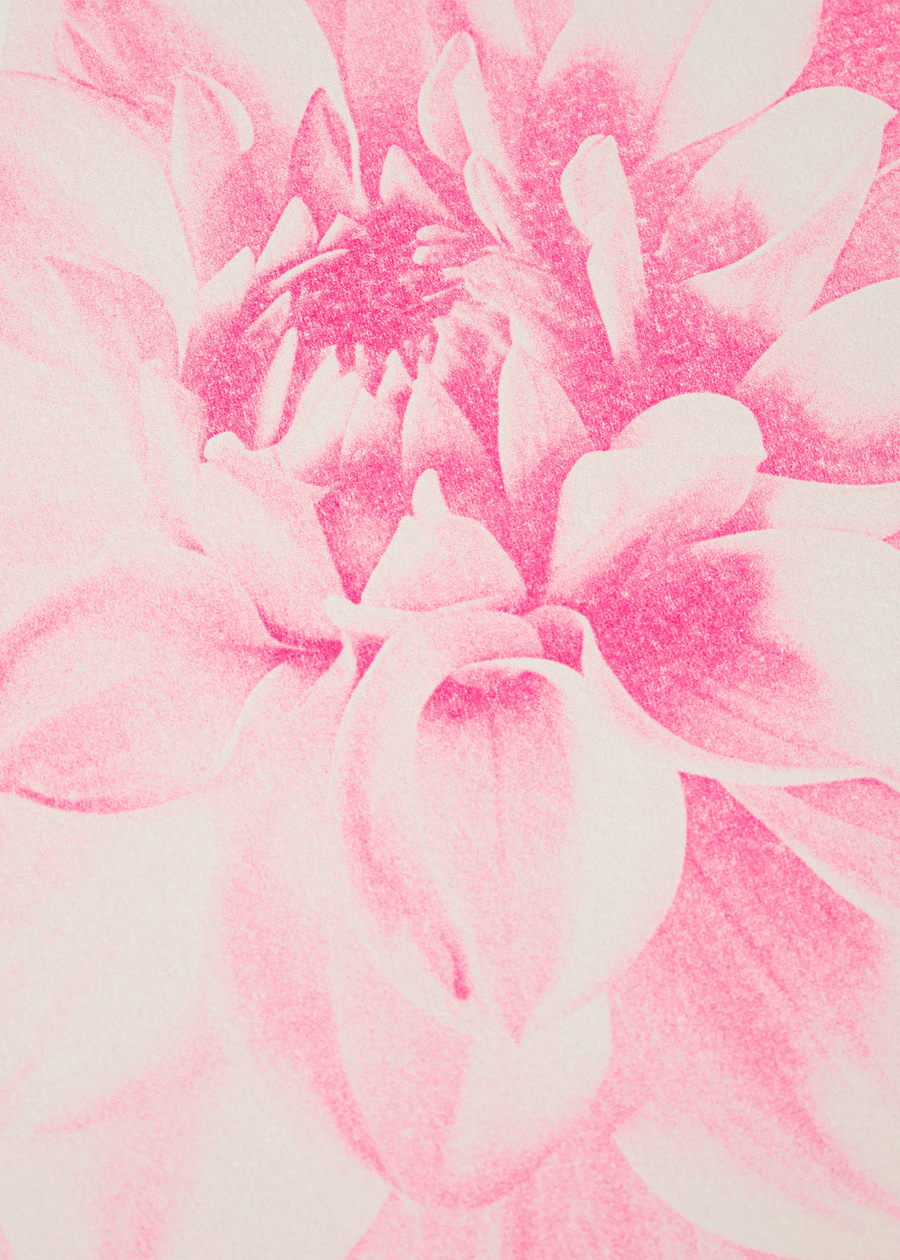 Dahlia Mono Fluoro Pink Risograph Print