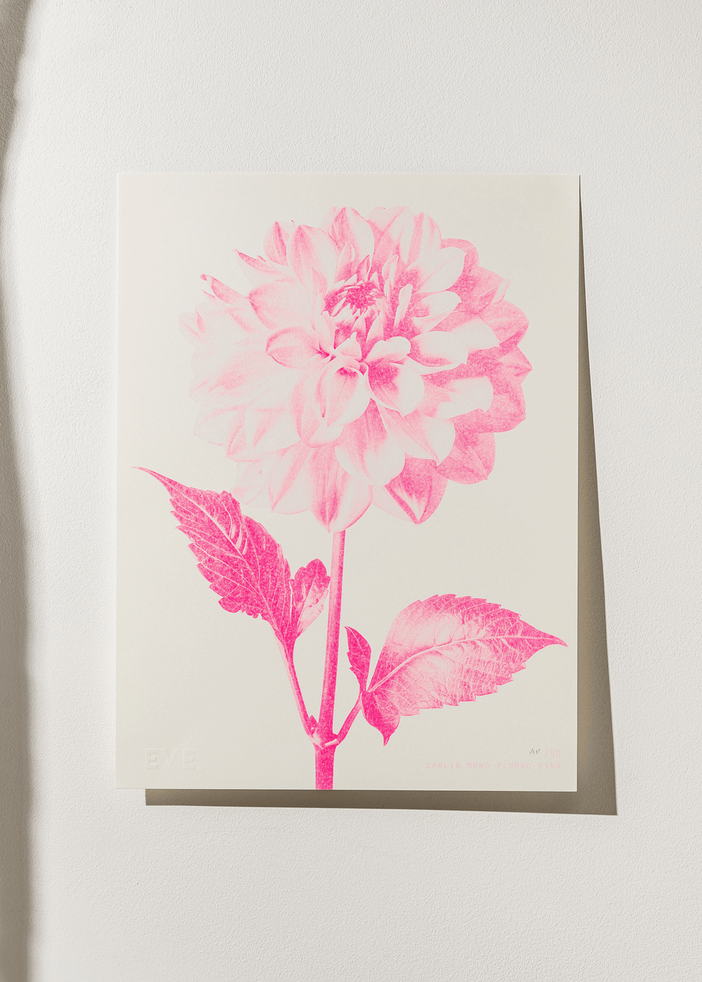 Dahlia Mono Fluoro Pink Risograph Print
