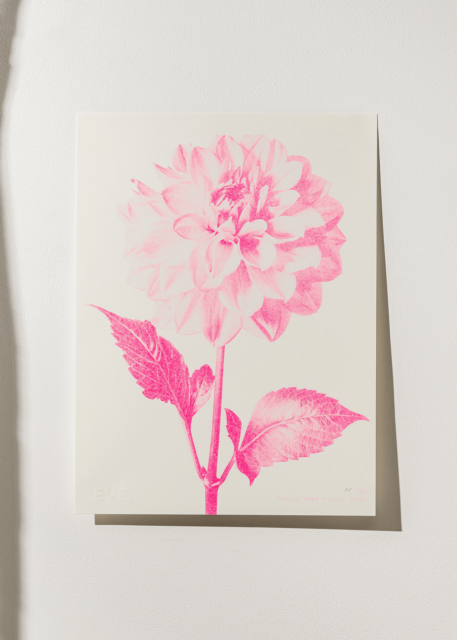 Dahlia Mono Fluoro Pink Risograph Print