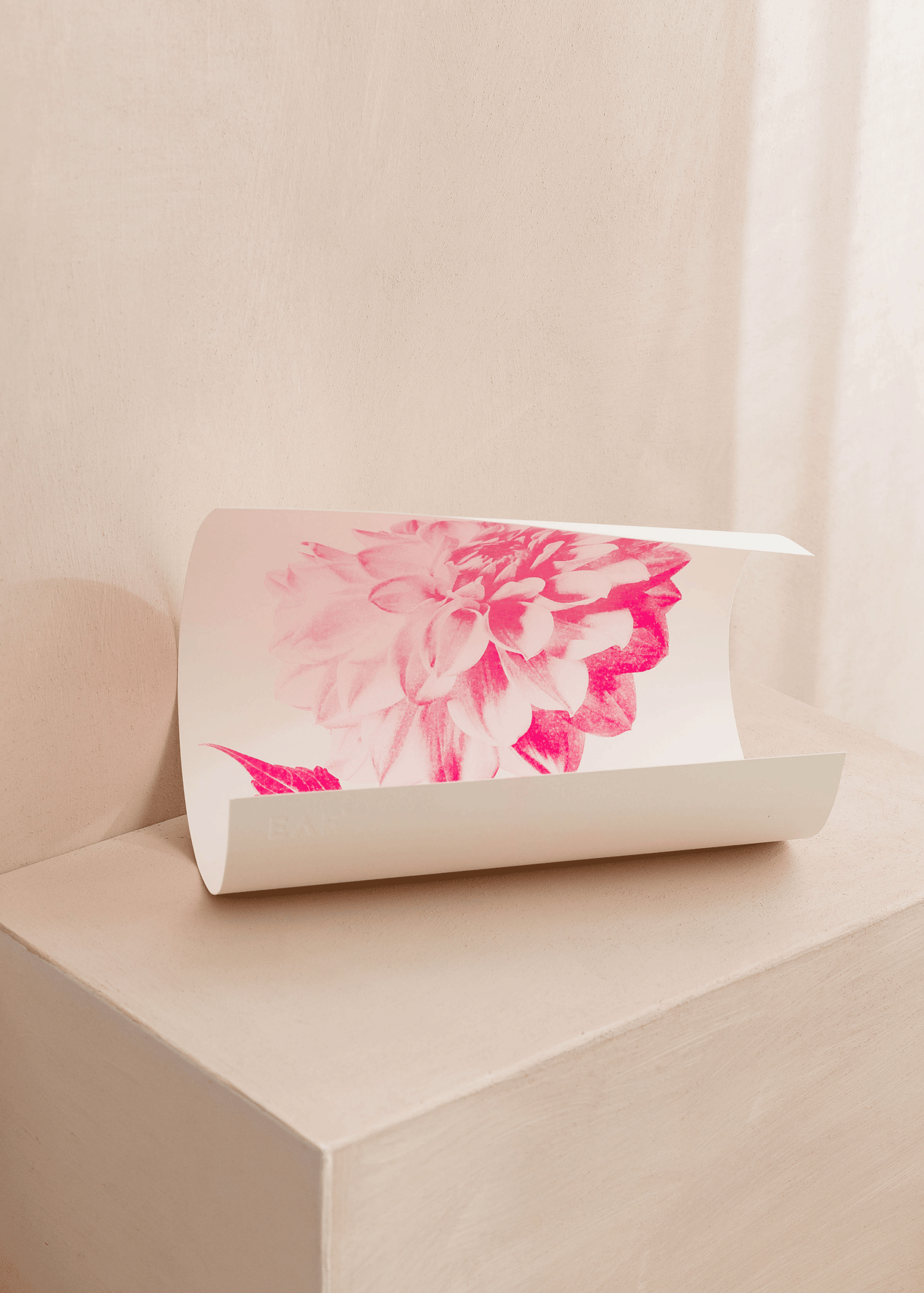 Dahlia Mono Fluoro Pink Risograph Print