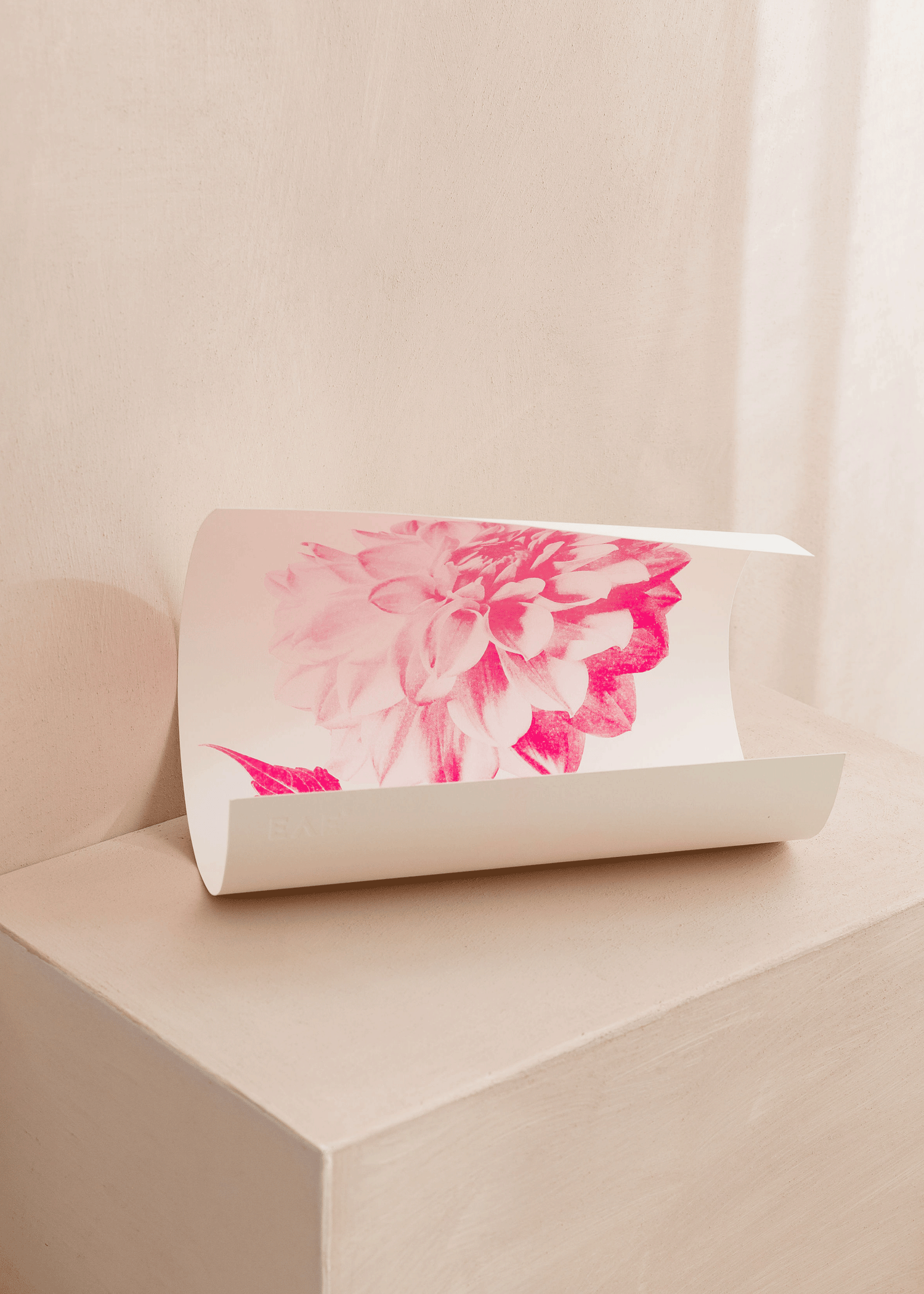 Dahlia Mono Fluoro Pink Risograph Print