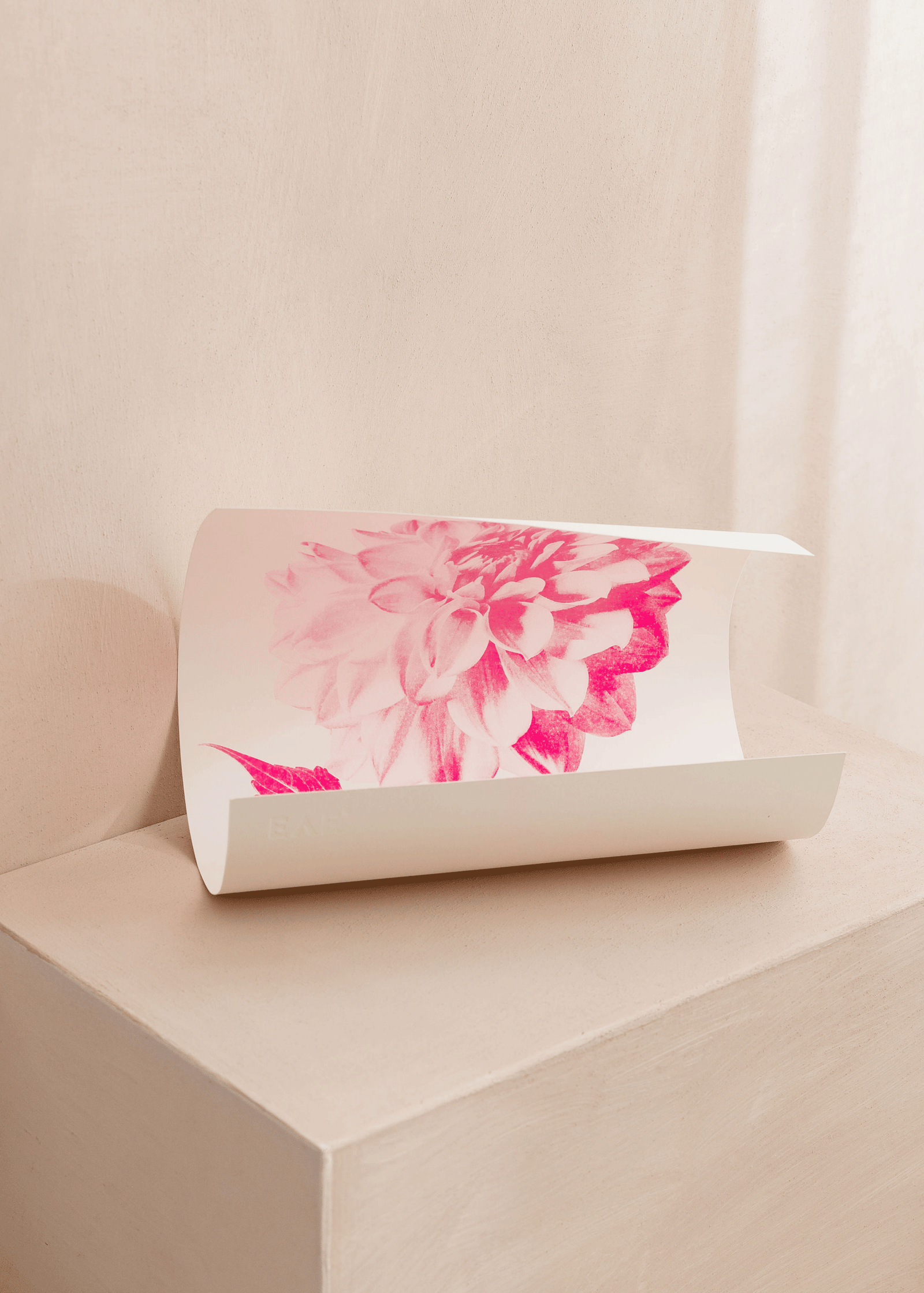 Dahlia Mono Fluoro Pink Risograph Print