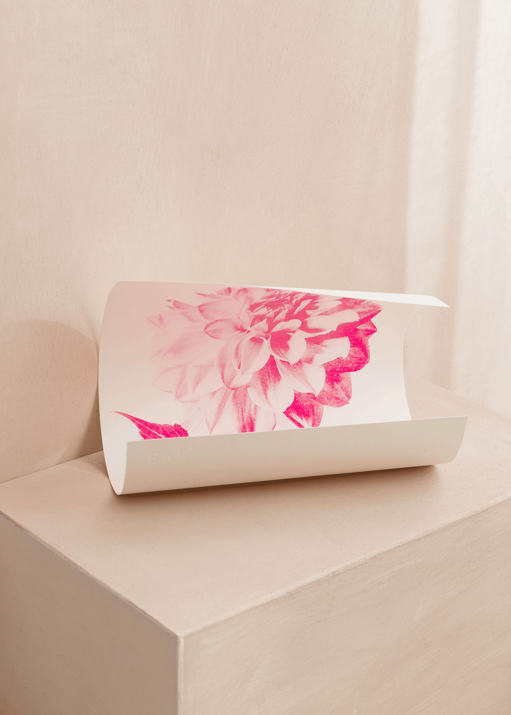 Dahlia Mono Fluoro Pink Risograph Print